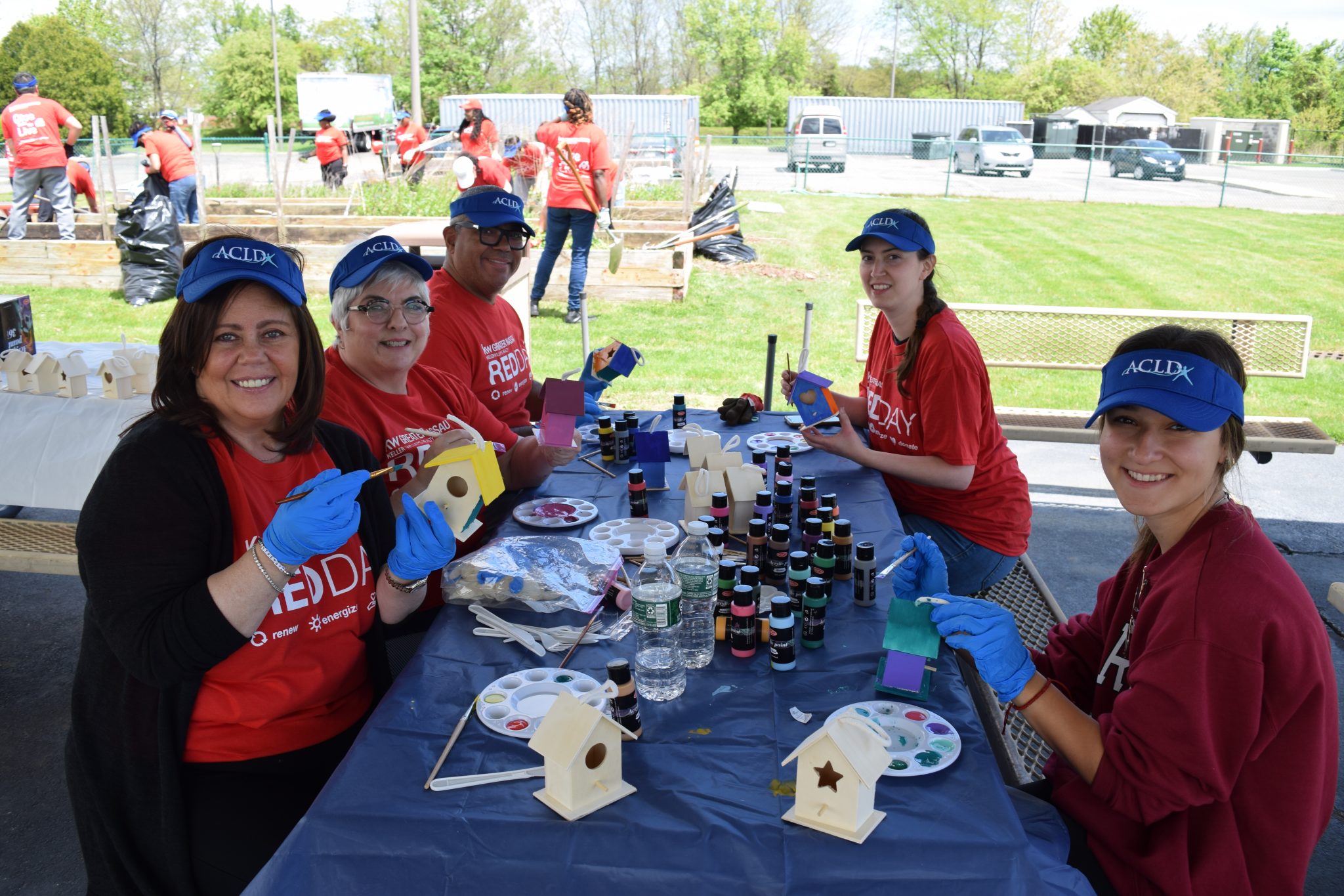 ACLD Volunteer Program | PMG Strategic